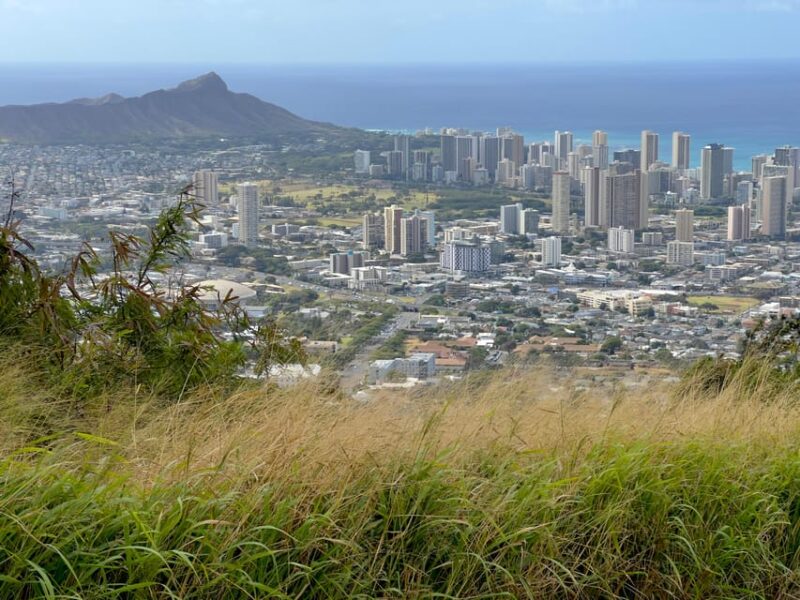 Oahu: Private Tour-Circle Island-Customizable - Who Would Love This Tour