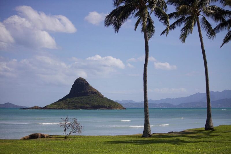 Oahu Sights and Shopping Slingshot Tour - The Value of the Experience