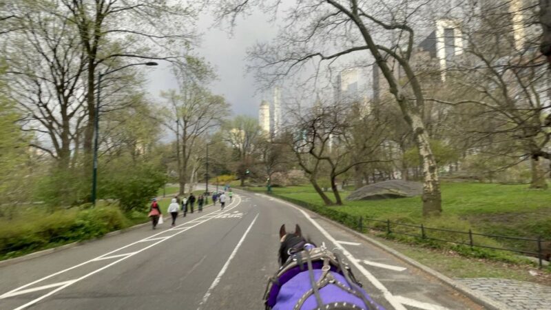 Official Exclusive VIP Horse Carriage Ride in Central Park - What to Know Before You Book