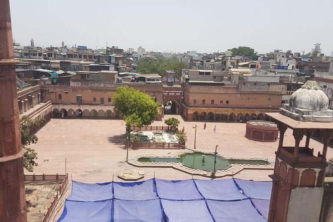 Old Delhi Walking Tour - The Pros and Cons