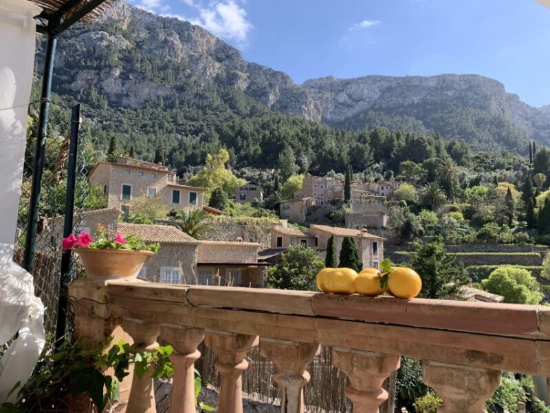 On the trail of Miro in Mallorca - What to Expect from the Day