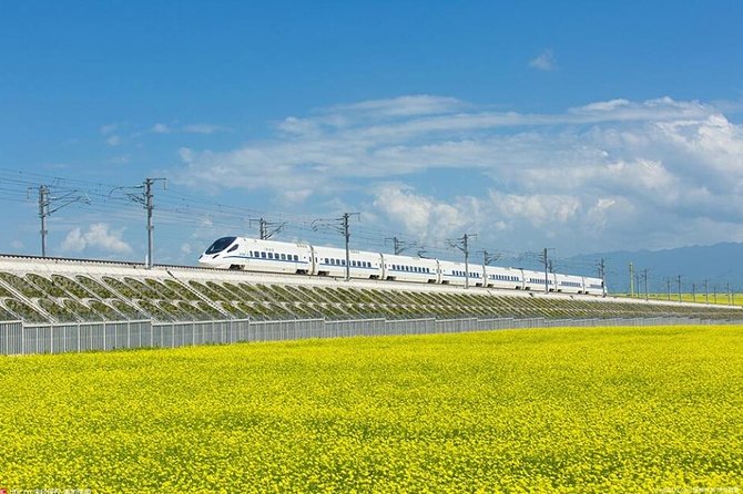 One Day Chengdu Xian Tour by Bullet Train - The Experience and Authenticity