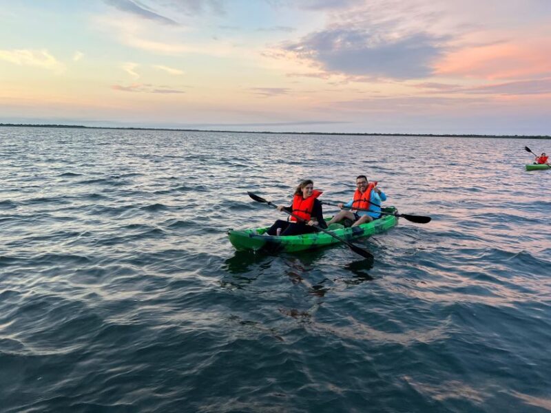 Orlando: Bioluminescence Clear Kayaking or Paddleboarding - The Itinerary Breakdown