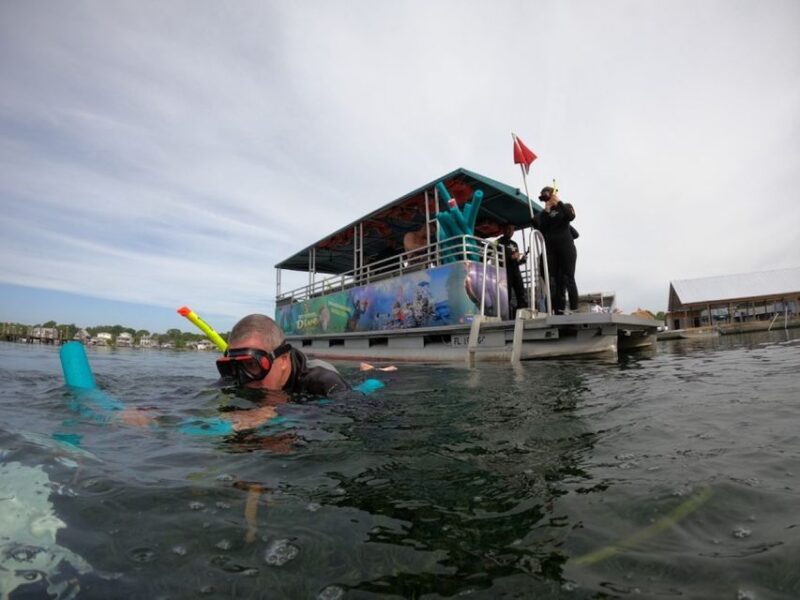 Orlando: Swim with Manatees and Homosassa State Park Visit - Who Will Love This Tour?