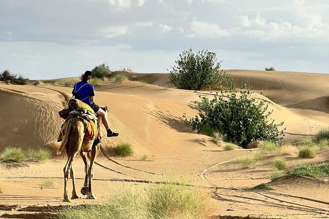 Overnight Camel Safari in Thar Desert - The Itinerary: A Closer Look