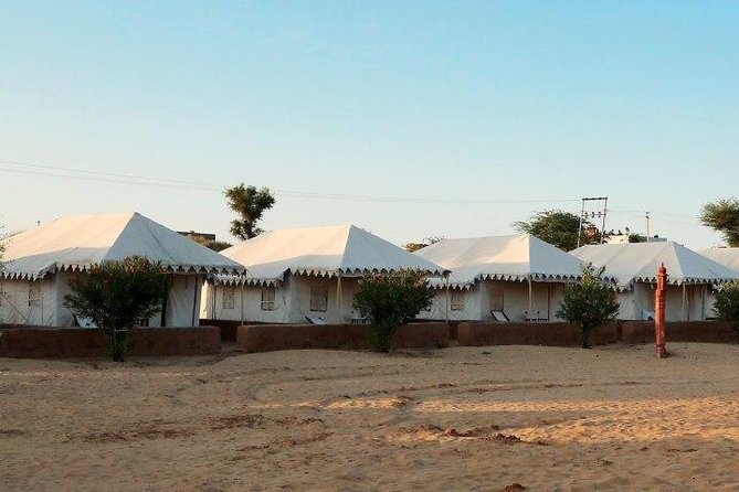 Overnight Camping With Camel Safari In Jodhpur - What Travelers Say