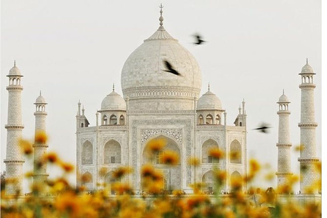 Overnight trip to Delhi and Agra - Final Thoughts: Who Is This Tour For?