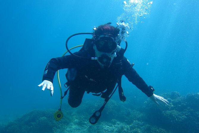PADI Discover Scuba Diving - introduction program for beginners - The Practical Side: Equipment, Food, and Cost