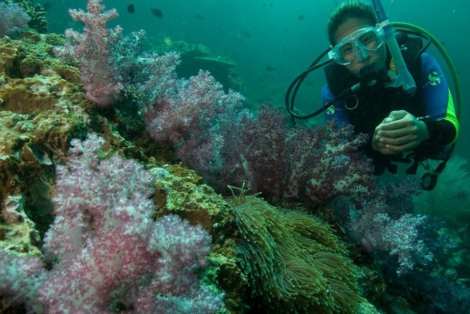 PADI Scuba Diver Course - Who Should Consider This Course?