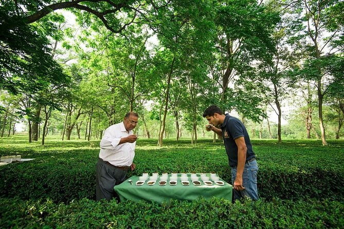 Palampur's Guided Day Tour: Discover the Tea Capital. - What to Expect During the Day