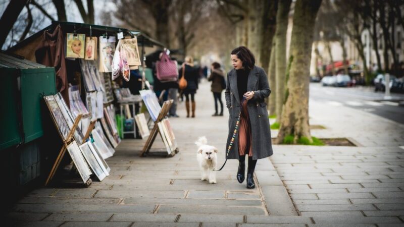Paris: Cinematic and Fun Photoshoot with a Professional - The Practical Details: How It Works
