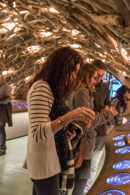 Paris: French Wine Experience in Parisian Cellar - The Itinerary and What to Expect