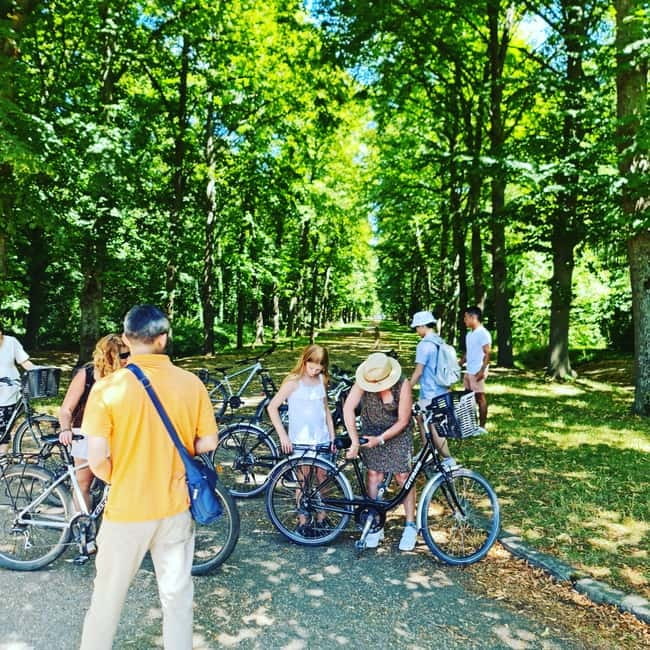 Paris: Versailles Golf Cart & Bike Tour with Palace Entry - An In-Depth Look at the Versailles Experience