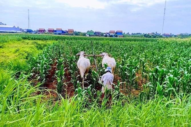Phnom Penh Countryside Cycle Tour - The Experience and Its Value