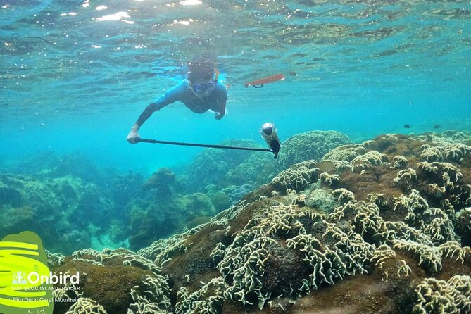 [Phu Quoc] Private Speedboat & Short-Snorkel: South Hidden Reefs - FAQs