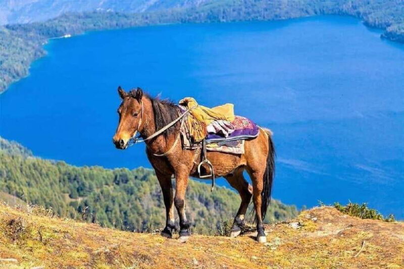 Pokhara: Horseback Riding Adventure with Hotel Pickup - The Itinerary: A Walkthrough of the Experience