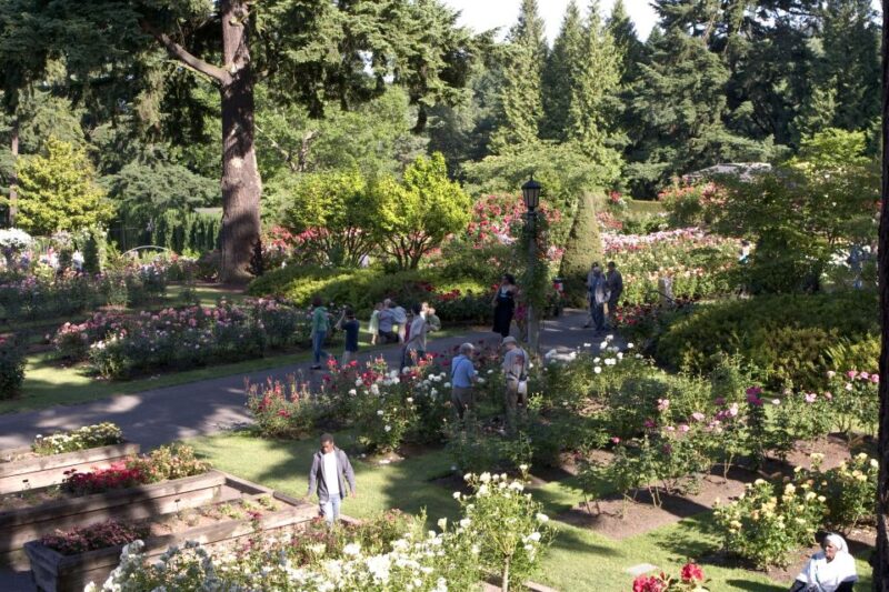 Portland, Oregon: Pink Trolley Hop-On Hop-Off Tour - The Route and Stops: What Youll See