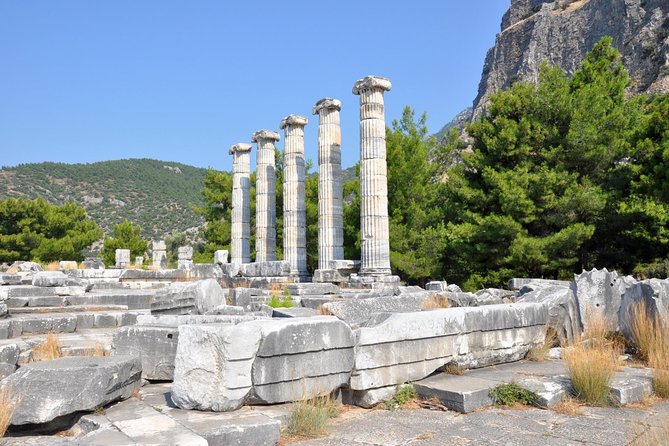 Priene Miletus Didyma Tour From Kusadasi & Selcuk Hotels - What recent travelers say