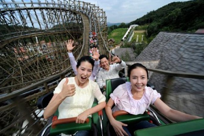 Private 4 days Nami Island&Petite France&Seoul&Everland tour - Taking in Seoul’s History and Modern Charm