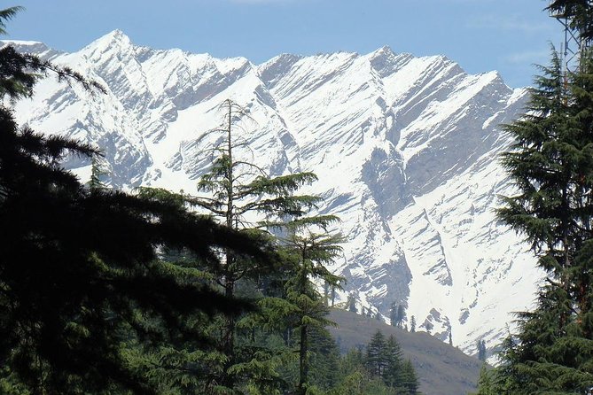Private 6 Days Shimla Kullu Manali Tour From Chandigarh - What Makes This Tour a Good Value?