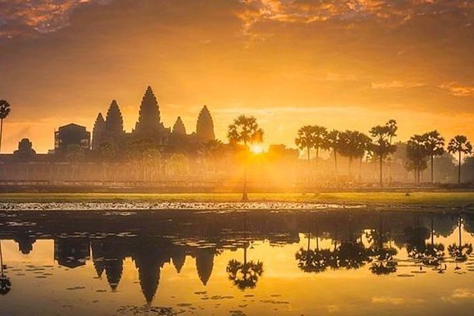 Private Angkor Wat Sunrise Tour - The Atmosphere of Ta Prohm