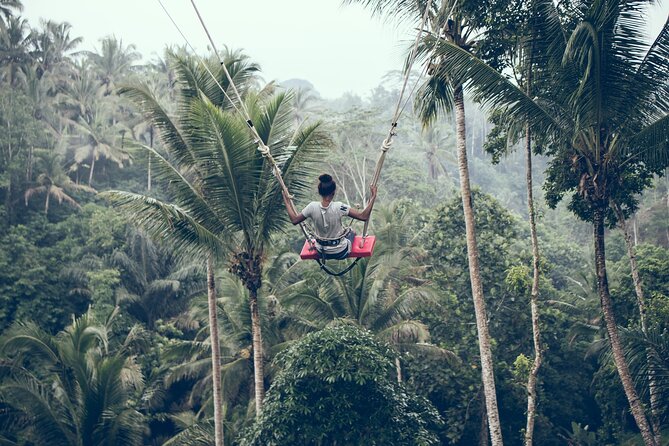 Private Bali Car Charter with Driver up to 6 People - The Details of the Tour