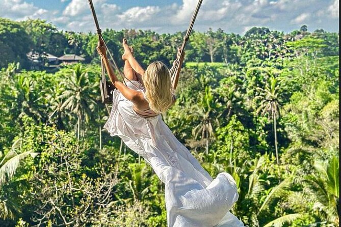 Private Bali Tour - All Inclusive - Value and Comfort: What Does the Price Cover?