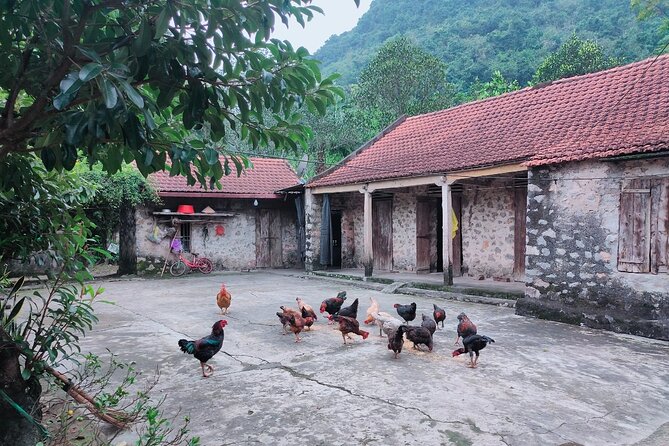 Private Boat and Biking Tour in Ninh Binh (Trang An - Hang Mua) - FAQ