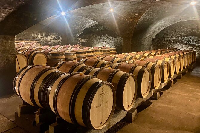 Private Burgundy 4 Domains 20 Chablis Wines tasting from Paris - Transportation & Comfort