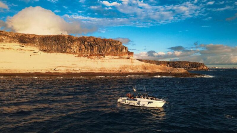 Private Charter Private Charter to see the whales - 2 Hours - The Itinerary: What to Expect