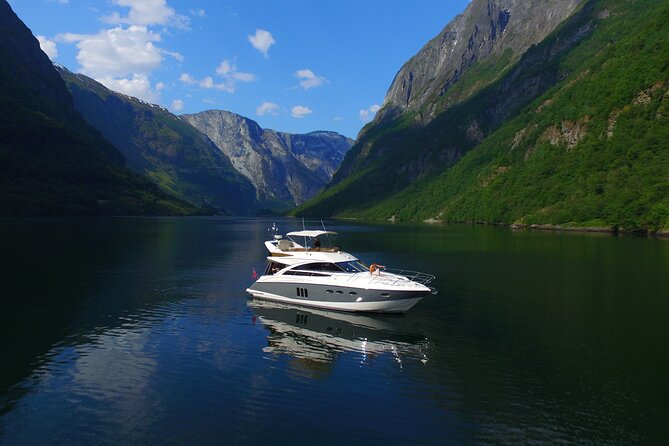 Private Cruise from Bergen to Sognefjord, Flåm and Nærøyfjord - Pricing and Value
