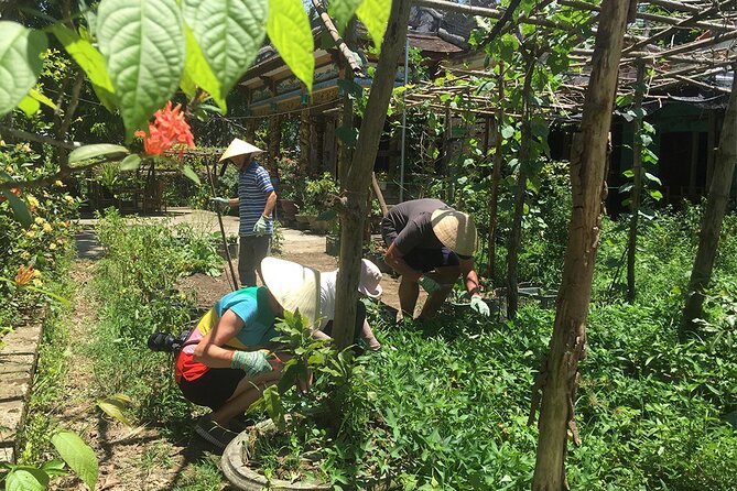 Private Cycling Tour in Rural Hue with Farming Experience - What Makes This Tour Special?
