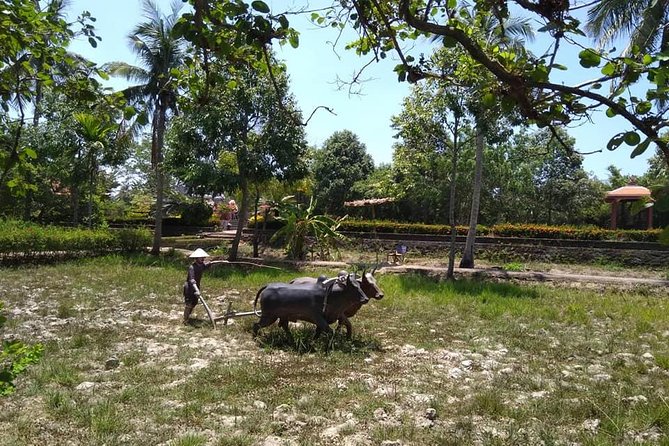 Private Day Trip To Visit MY LAI MASSACRE from Hoi an or Da Nang City - Practicalities and Tips for Travelers