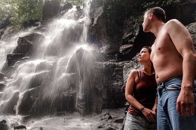 Private Full Day Best of Ubud Tour - Mas Village: Artisans and Wood Carvings