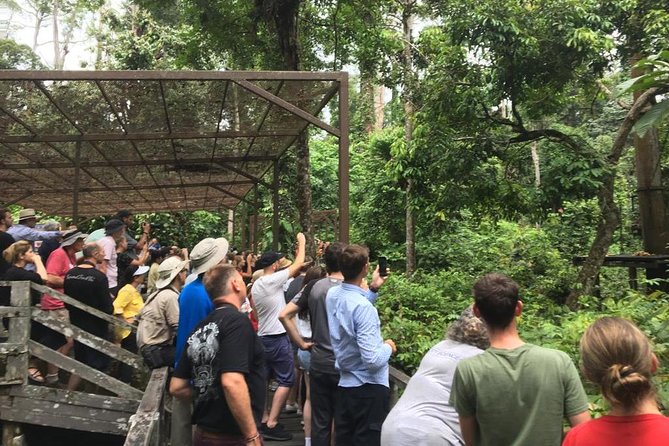 Private Full Day Sepilok Orang Utan, Bornean Sun Bear and Rainforest Discovery Center Tour - Who Is This Tour Best For?