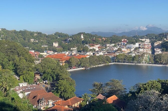 Private Full Day Tour Sigiriya and Dambulla From Kandy - Who Would Love This Tour?