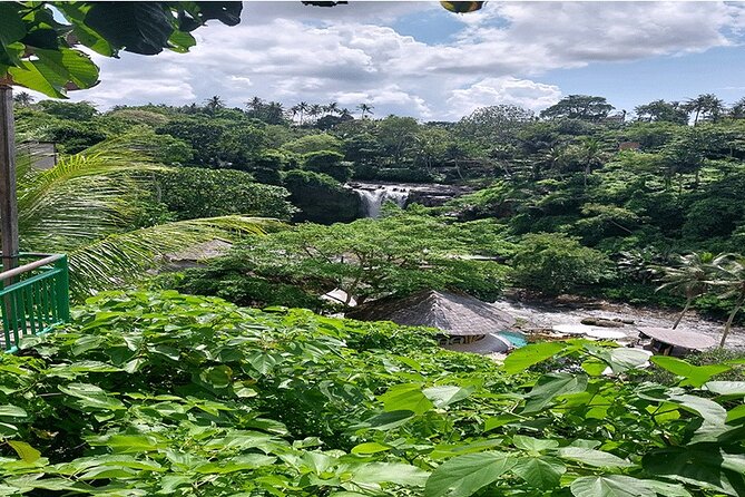 Private Guided Full Day Ubud Tour - Tegalalang Rice Terrace: A Classic Bali Scene