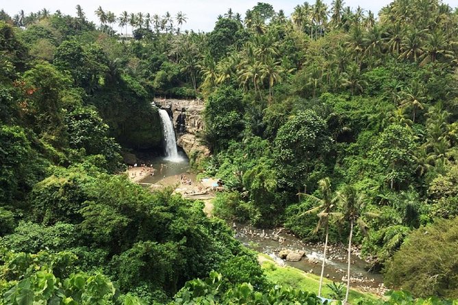 Private Guided Tour: The Best Of Ubud With Jungle Swing - Who Will Enjoy This Tour Most?