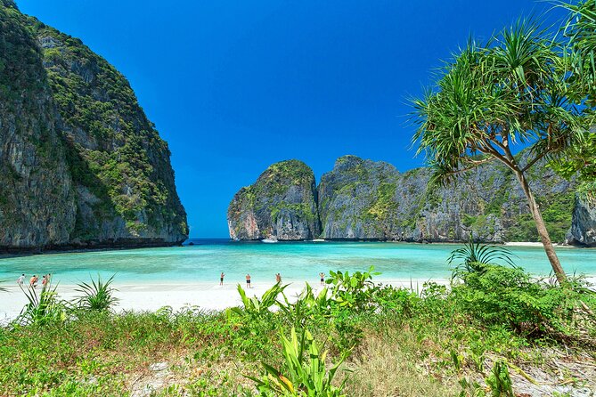 Private Phi Phi Islands & Bamboo Full Day Tour with snorkeling - The Value and Practicalities