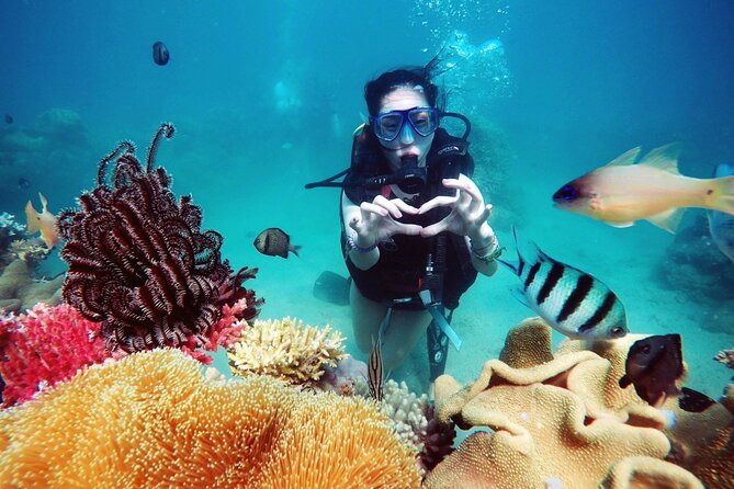 Private Snorkeling Tour Nha Trang Included Lunch And Snorkel Gear - An In-Depth Look at the Tour Itself