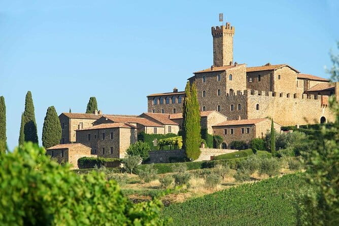 Private Tour and Wine Tasting at Castle-Wineries in Chianti from Florence - What Makes This Tour Stand Out