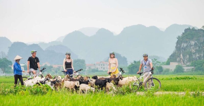 Private Tour: Hoa Lu/Bai Dinh - Trang An - Tam Coc -Mua Cave - Why This Tour Delivers Great Value