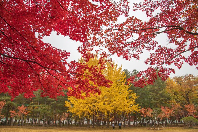 (Private tour) Nami Island + Railbike + Garden of morning calm - What’s Included and What’s Not