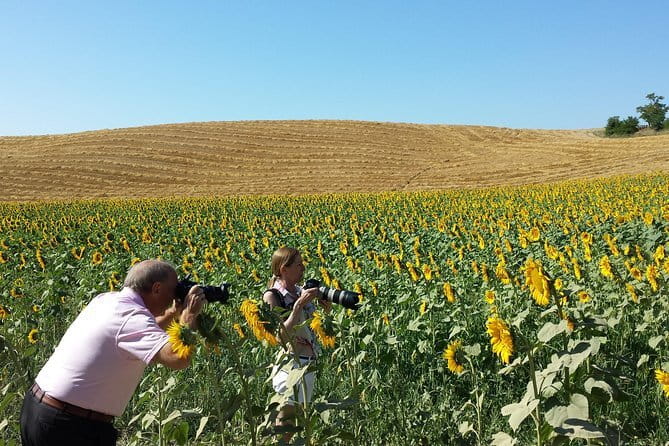 Private Tour: Orcia Valley to Montalcino and Montepulciano with Brunello Wine Tasting - What’s Included and What’s Not