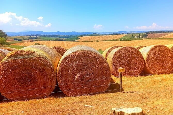 PRIVATE TOUR "Sweet Hills of Chianti and San Gimignano" with Lunch & 2 Tastings - A Deep Dive into the Itinerary