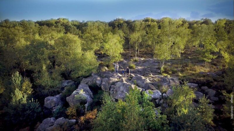 Private tour to Fontainebleau from Paris. Tickets included! - Final Thoughts