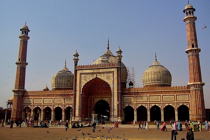 Private Transfer From Delhi Airport to Hotel in New Delhi - Is it Worth the Price?