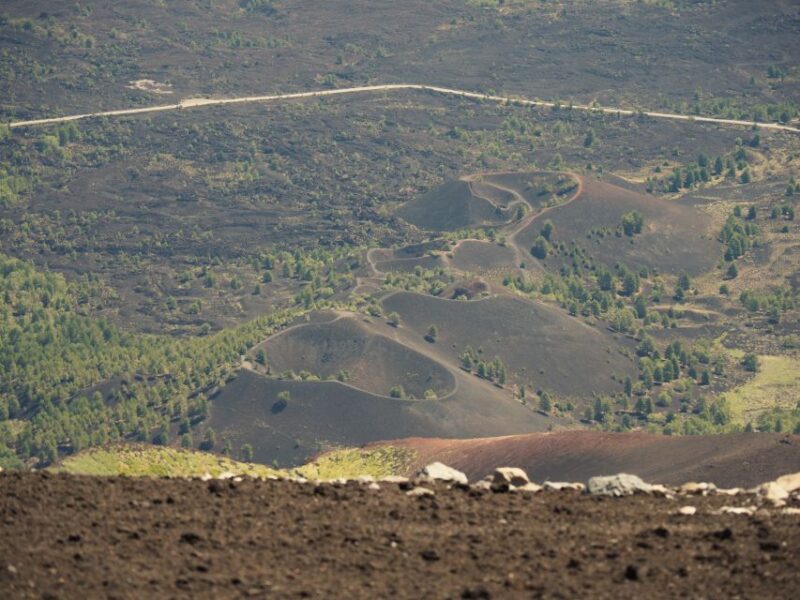 Private Trekking in the Sartorius Mountains - The Route: From Forests to Volcano Cones