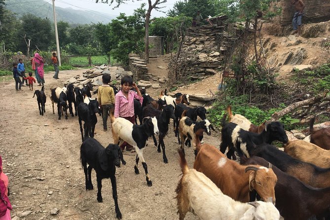 Private Udaipur Village Tour by Tuk-Tuk or by Car - Why This Tour Is a Great Choice