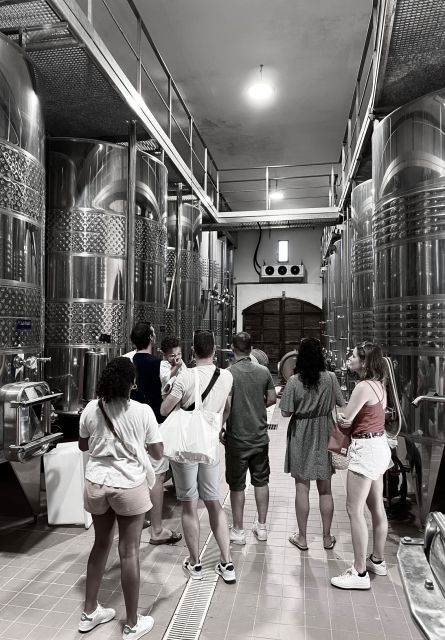Private wine tastings around Calvi & Île-Rousse - What’s Included and What’s Not